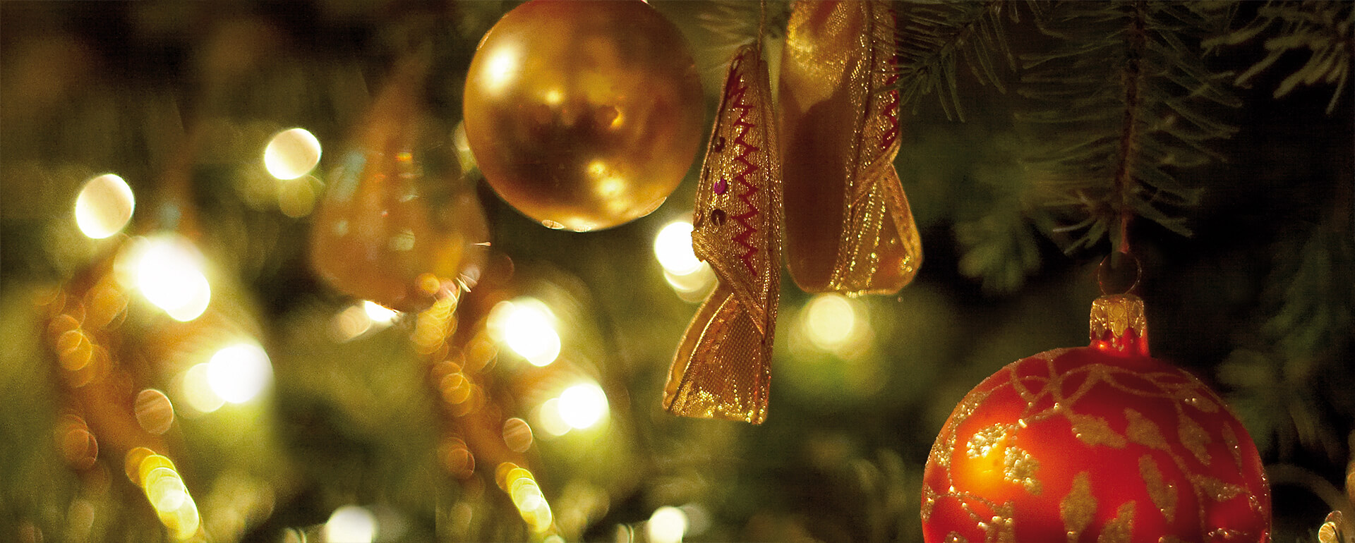 Christmas 2018 at The Cotford Hotel | The Cotford Hotel & L’amuse ...